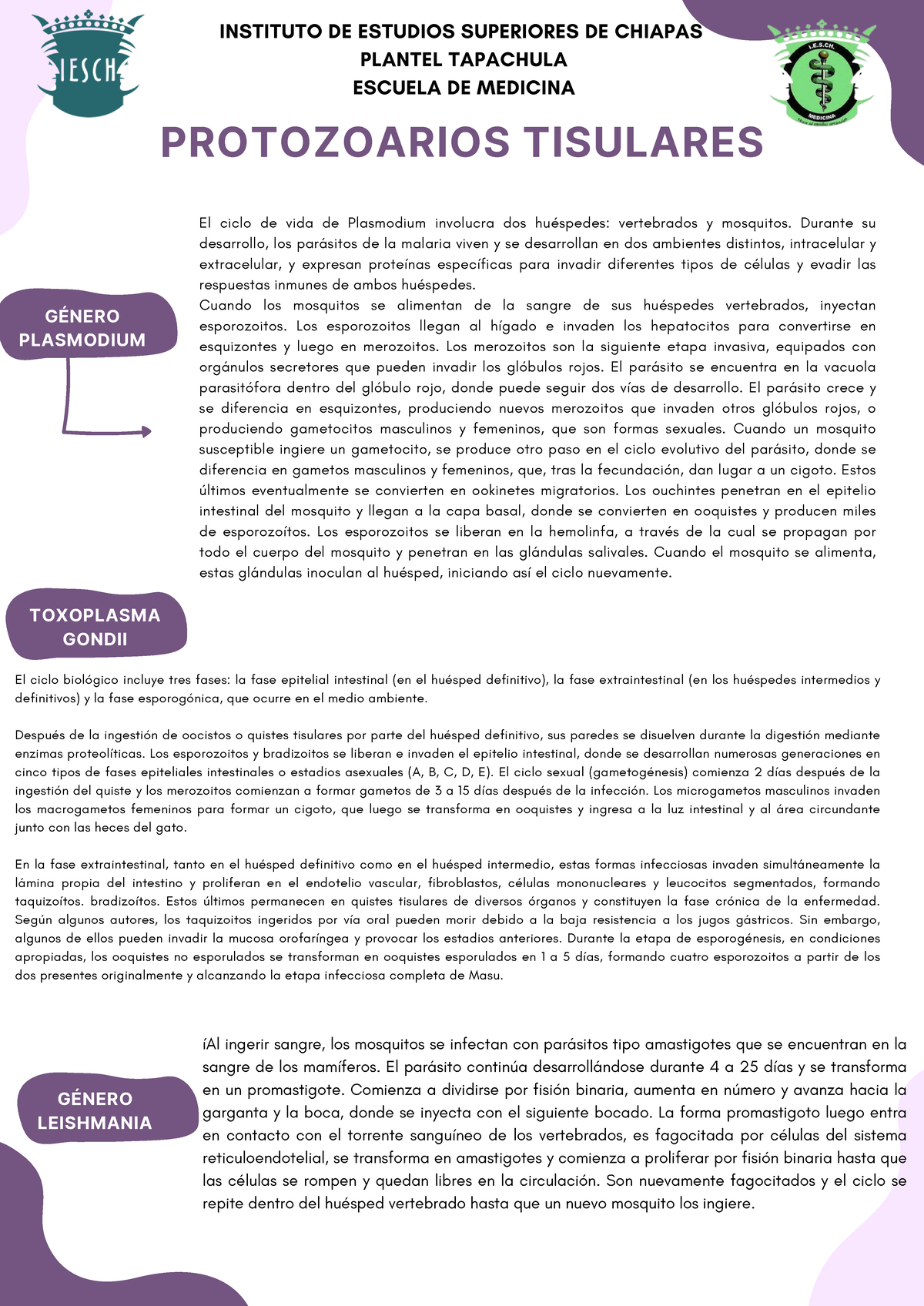 PROTOZOARIOS TISULARES - PROTOZOARIOS TISULARES INSTITUTO DE ESTUDIOS ...