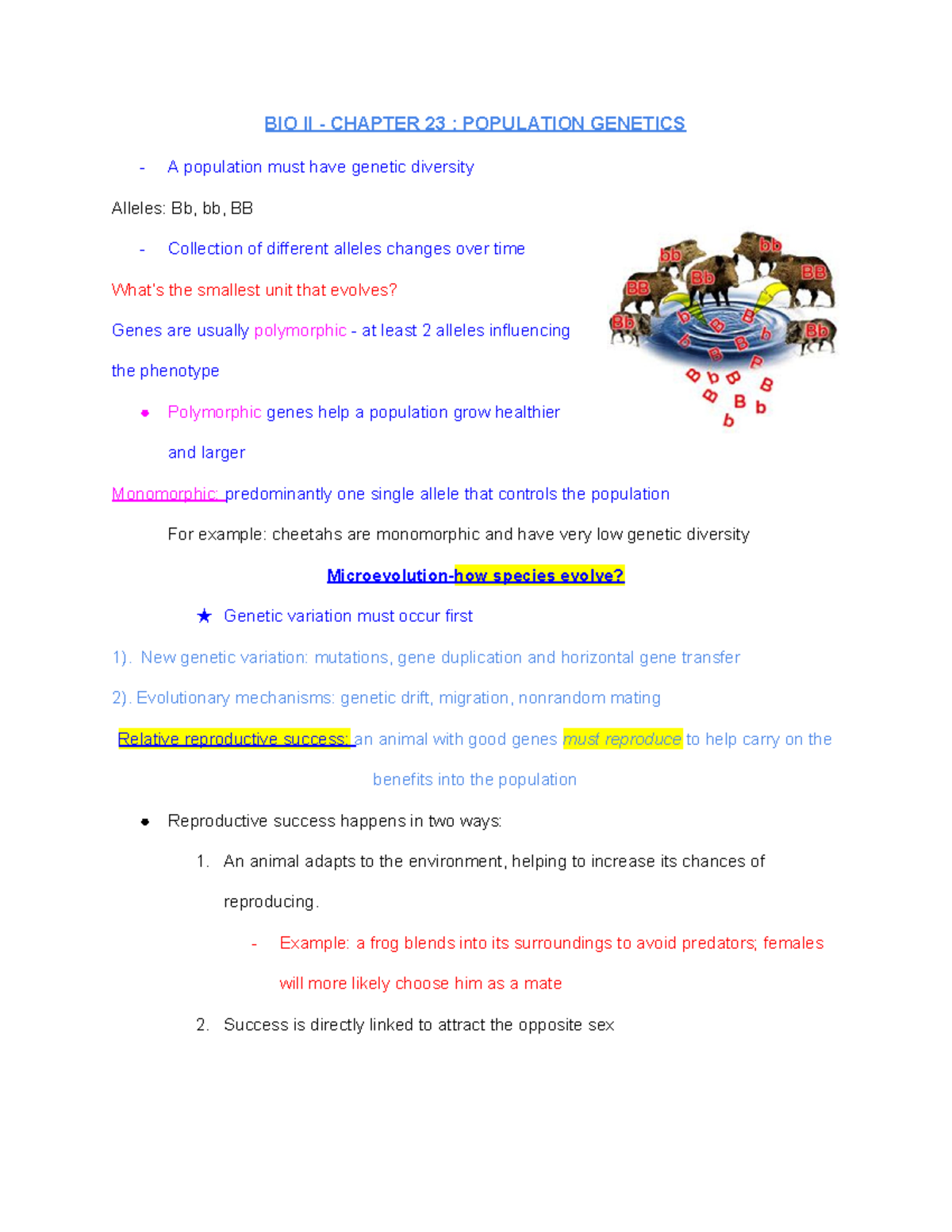 BIO II - Chapter 23 Population Genetics Stu Docu - BIO II - CHAPTER 23 ...