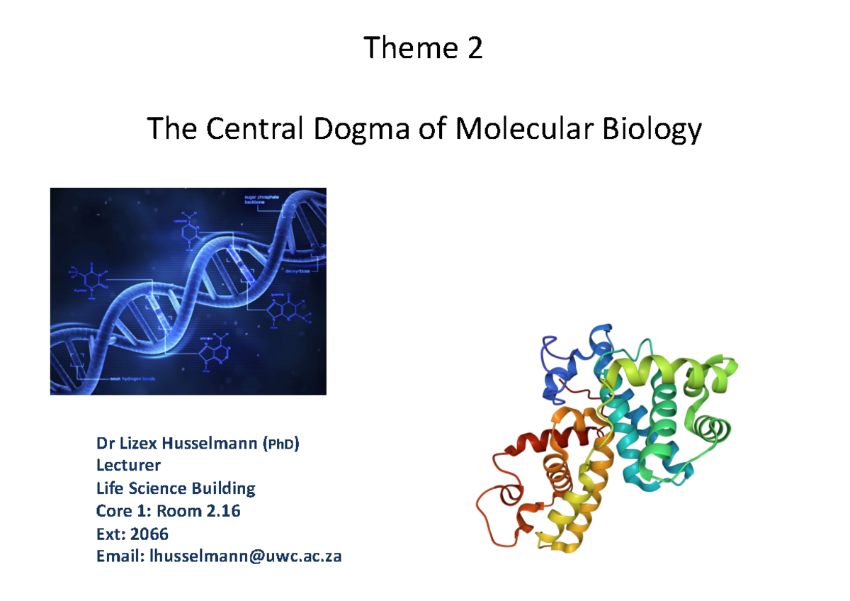 Theme 2 Central Dogma - Theme 2 The Central Dogma of Molecular Biology ...