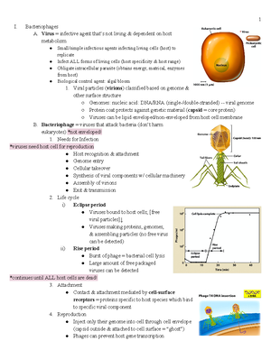 Lecture 4 and 5 final - Lectures 4 & 5 Chapter 4 Bacterial Culture ...
