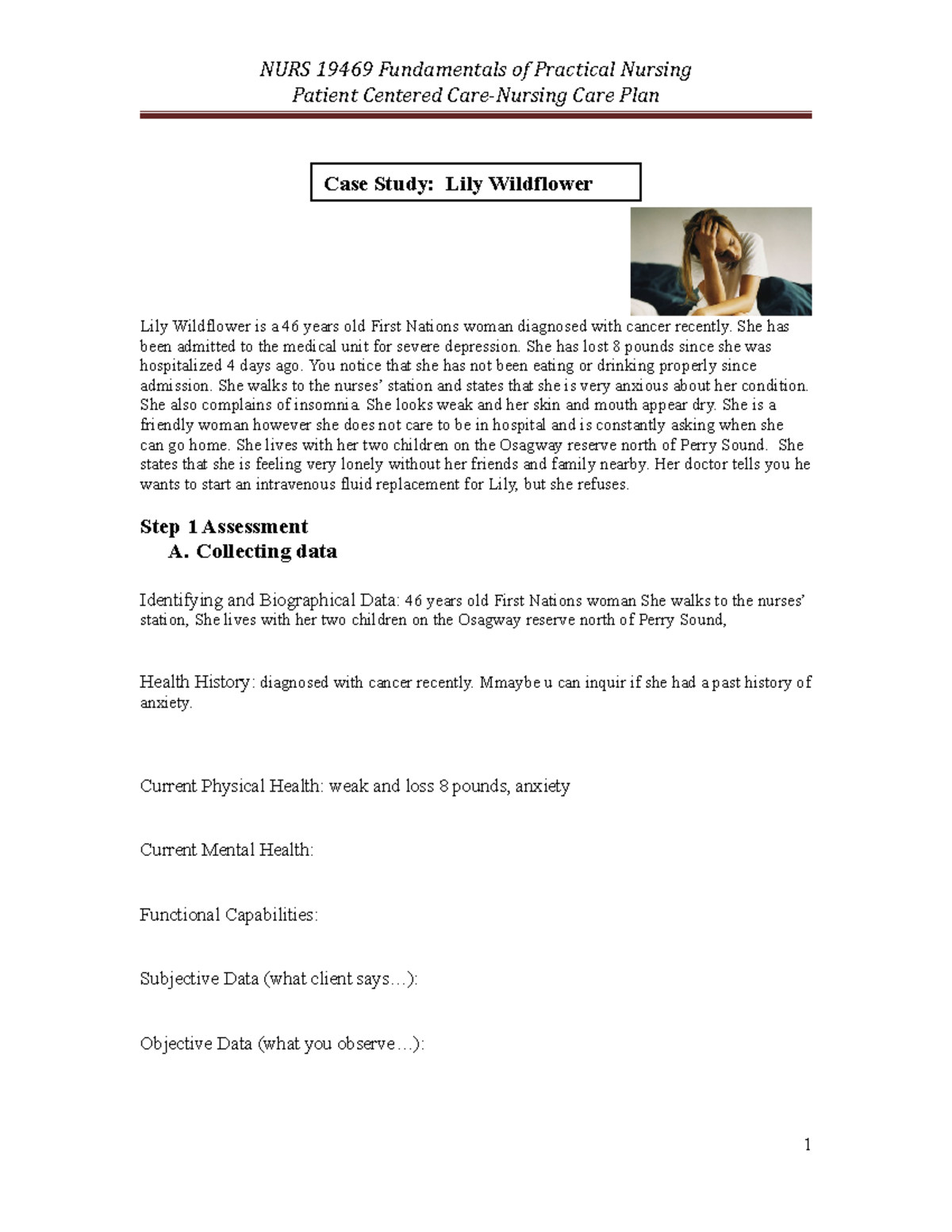 NCP Case Study Lily Wildflower 2020 - NURS 19469 Fundamentals of ...