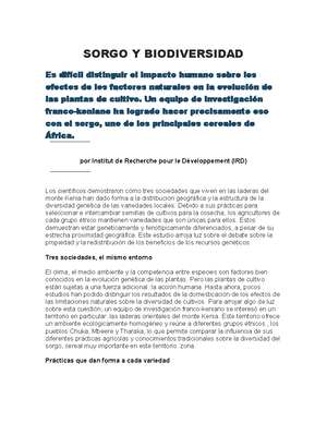 Criterios diagnóstico ADA - American Diabetes Association 2020 Resumen ...