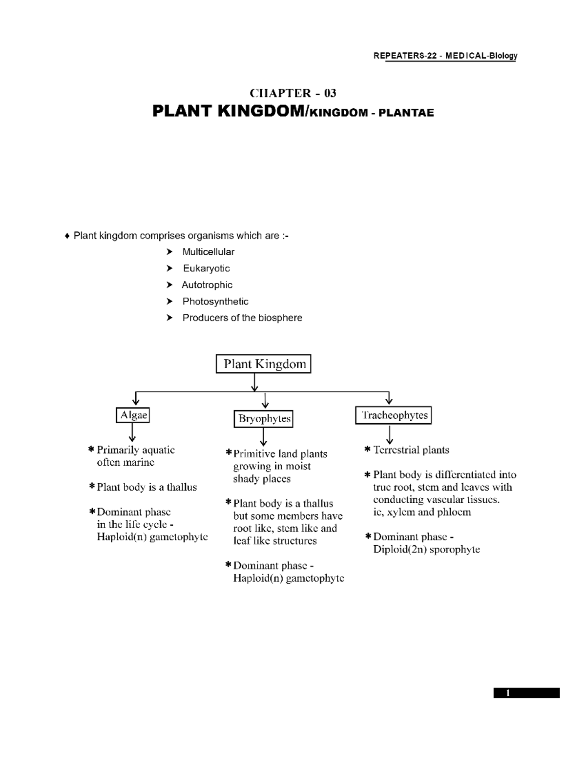 Plant Kingdom Biology Studocu