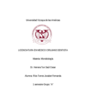 Términos morfológicos de la estructura anatómica animal - Anatomia ...