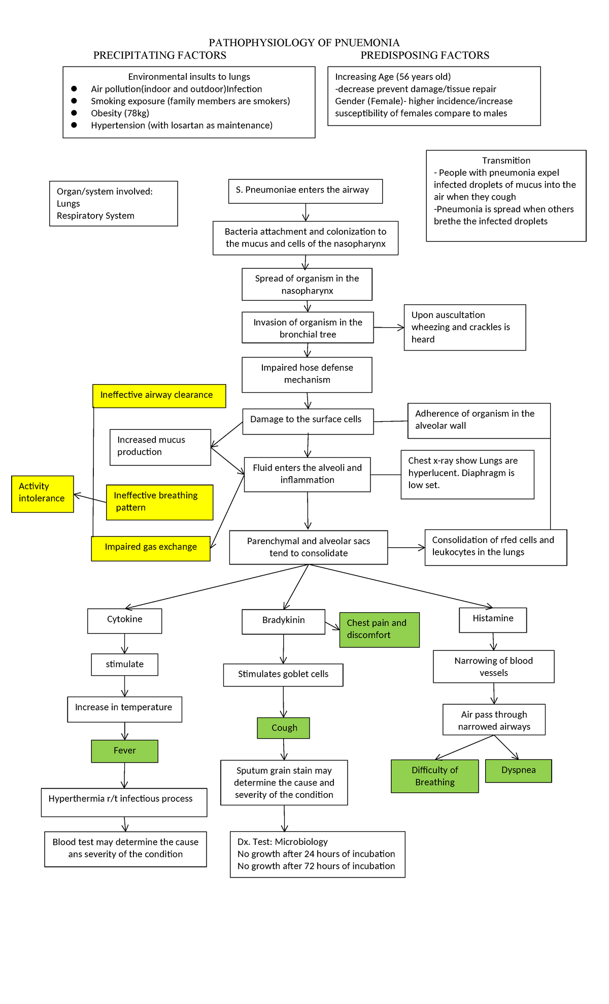 Pneumoniapathophysiology - PATHOPHYSIOLOGY OF PNUEMONIA PRECIPITATING ...