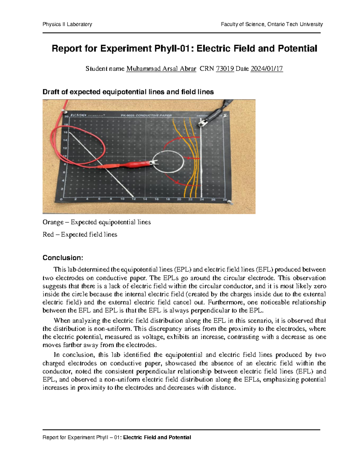 Report Electric Field 4 - Physics II Laboratory Faculty of Science ...