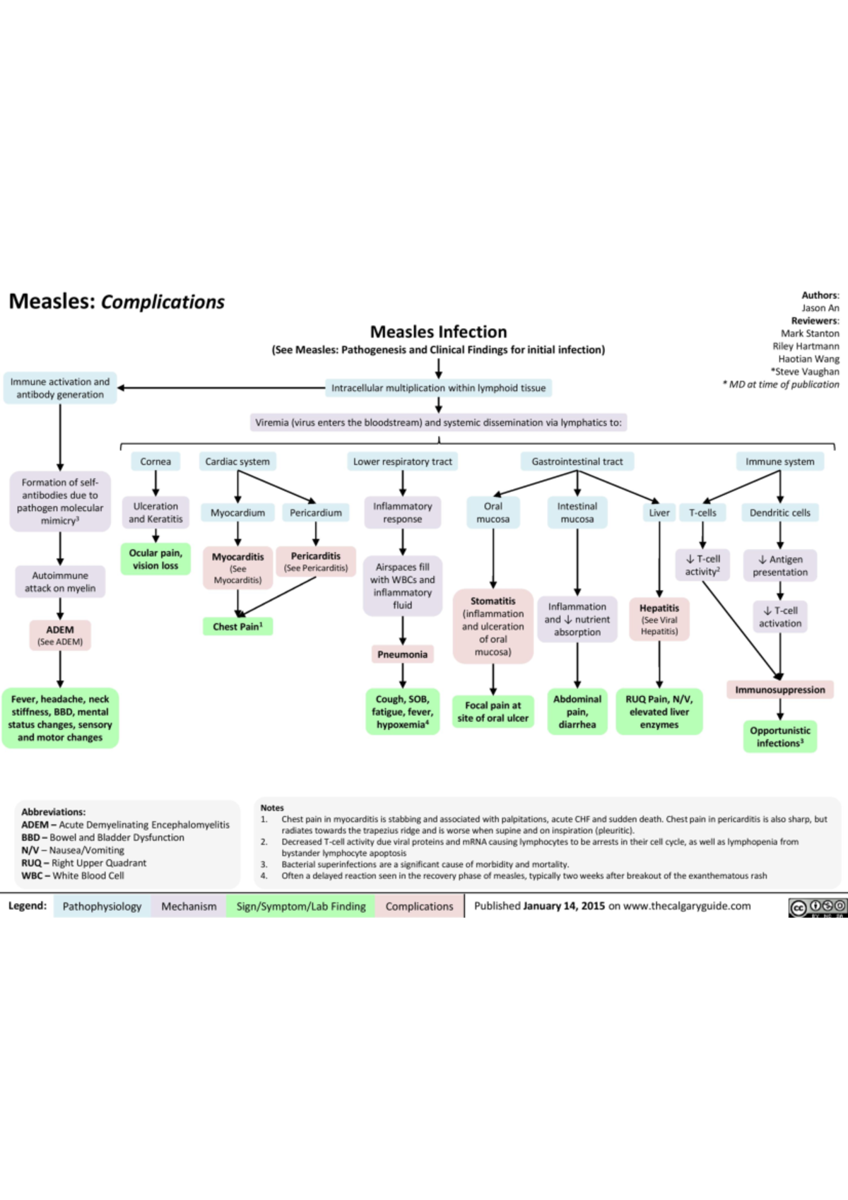 Complications of Measles Pathogenesis and Clinical Findings 1 ...