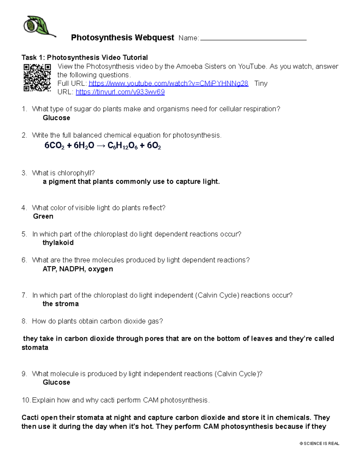 Photosynthesis Webquest - As you watch, answer the following questions ...