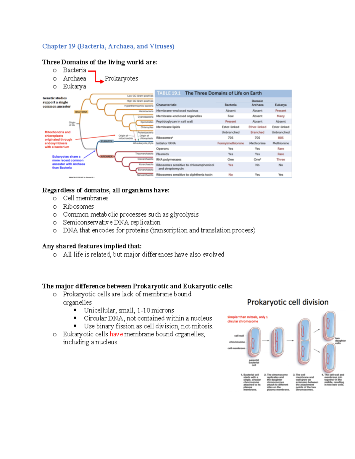 Chapter 19 Bacteria, Archaea, Viruses - Chapter 19 (Bacteria, Archaea ...