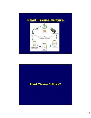 Plant Tissue Culture - PLANT TISSUE CULTURE Tissue culture is the ...