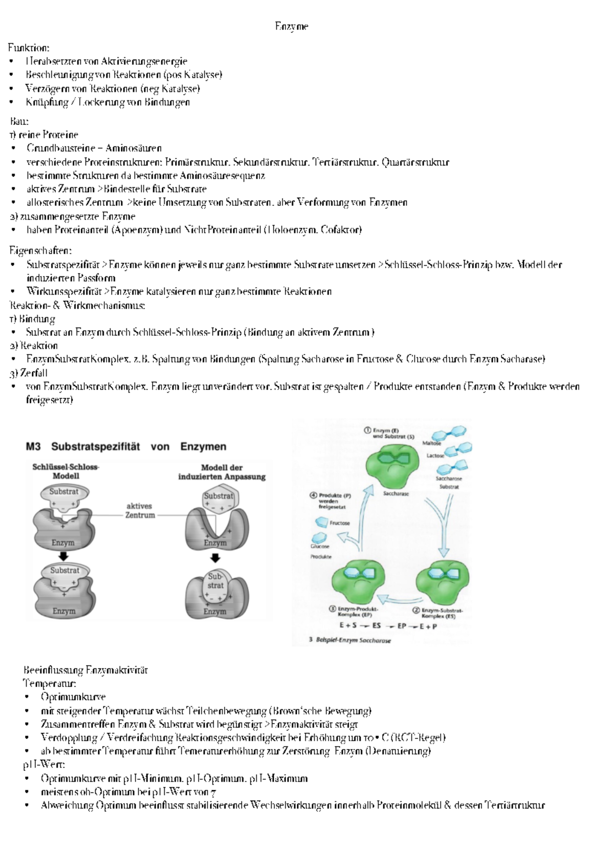 Enzyme - Enzyme Funktion: Herabsetzten von Aktivierungsenergie ...