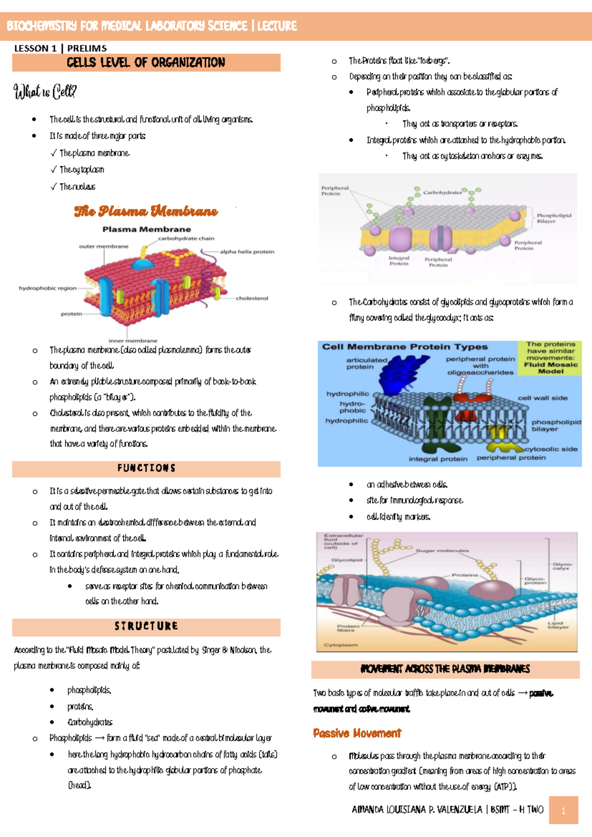 Biochem cells organization - LESSON 1 | PRELIMS CELLS LEVEL OF ...