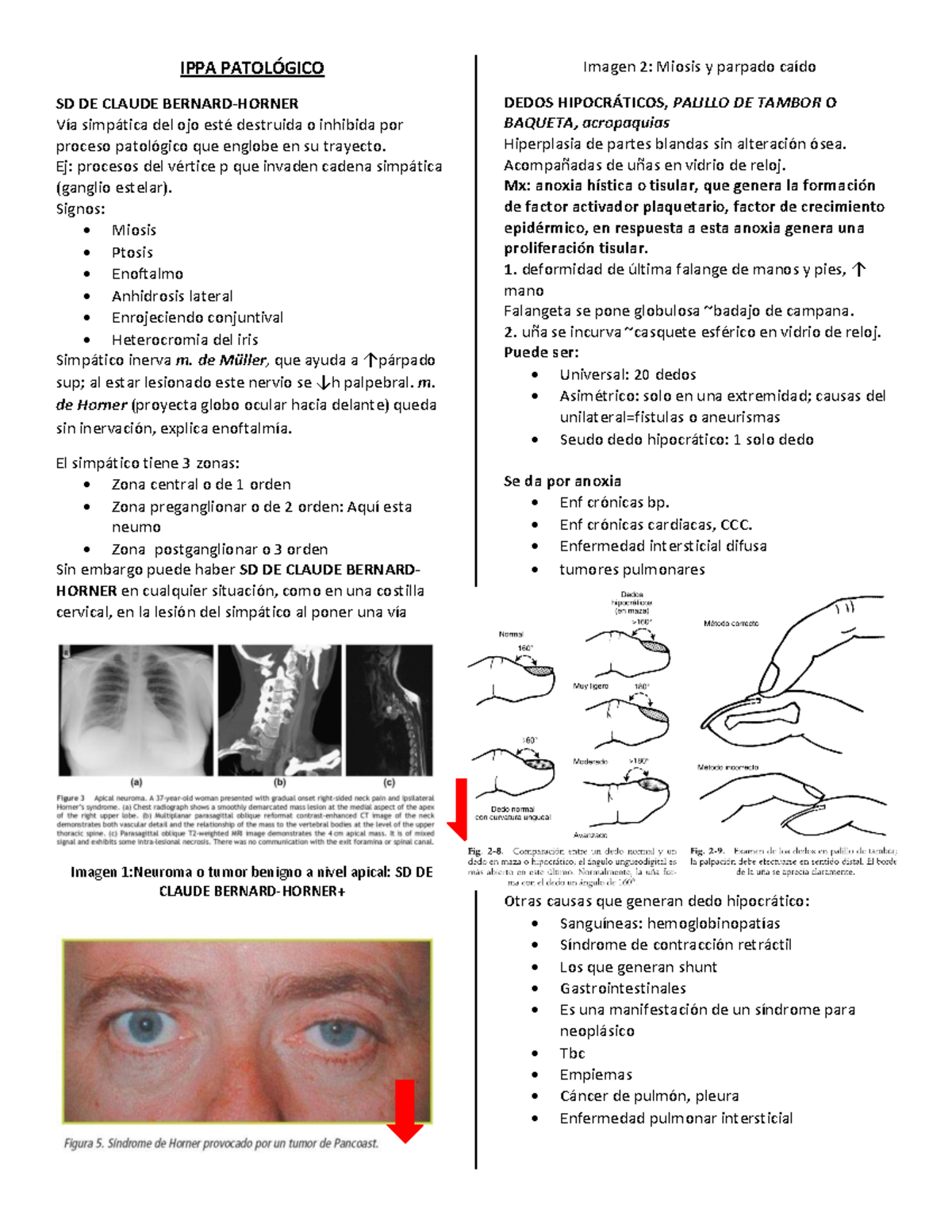 Semio resp. Clase Nº3 - Warning: TT: undefined function: 32 Warning: TT: undefined function: 32 ...