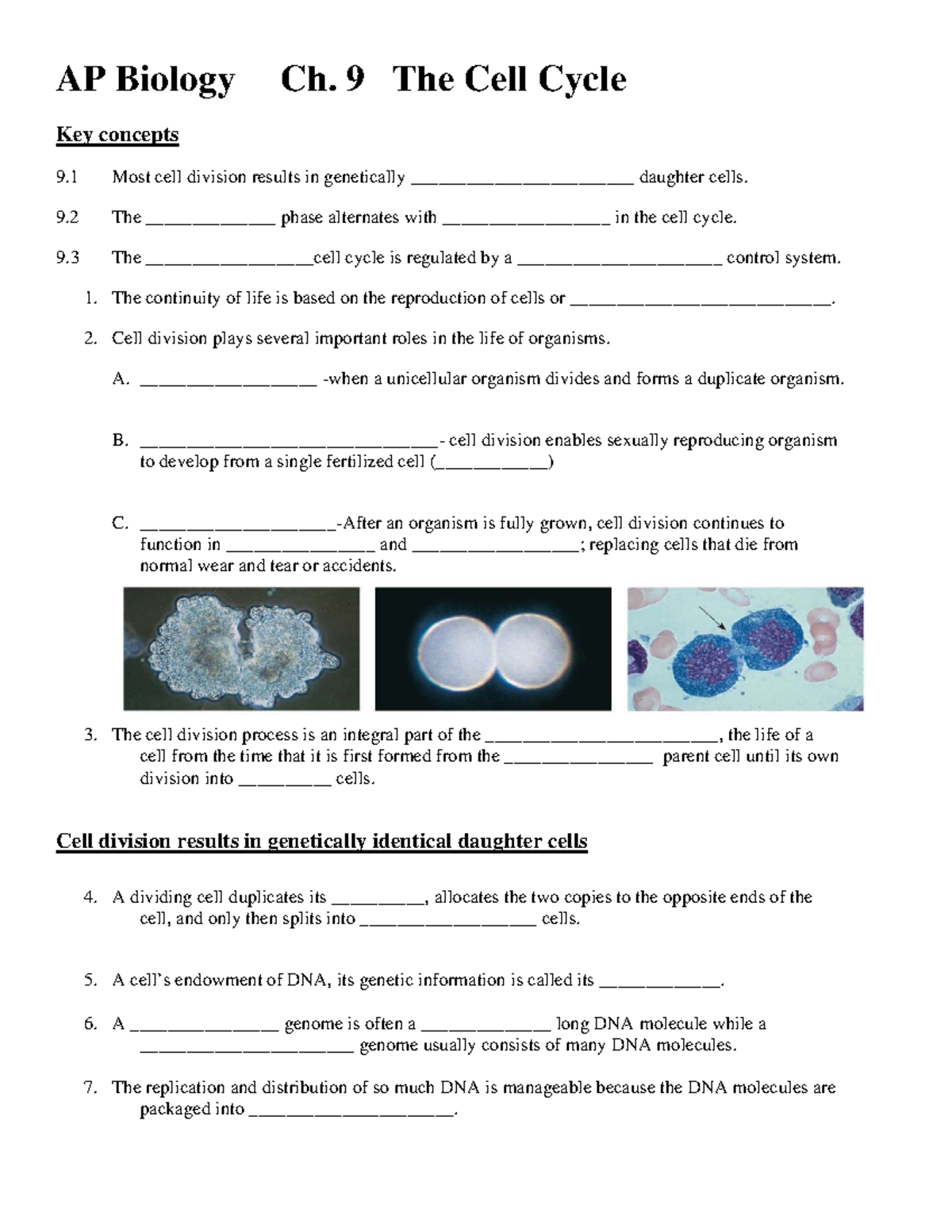 Ch 09 The Cell Cycle - Also a major assignment in this class and is ...