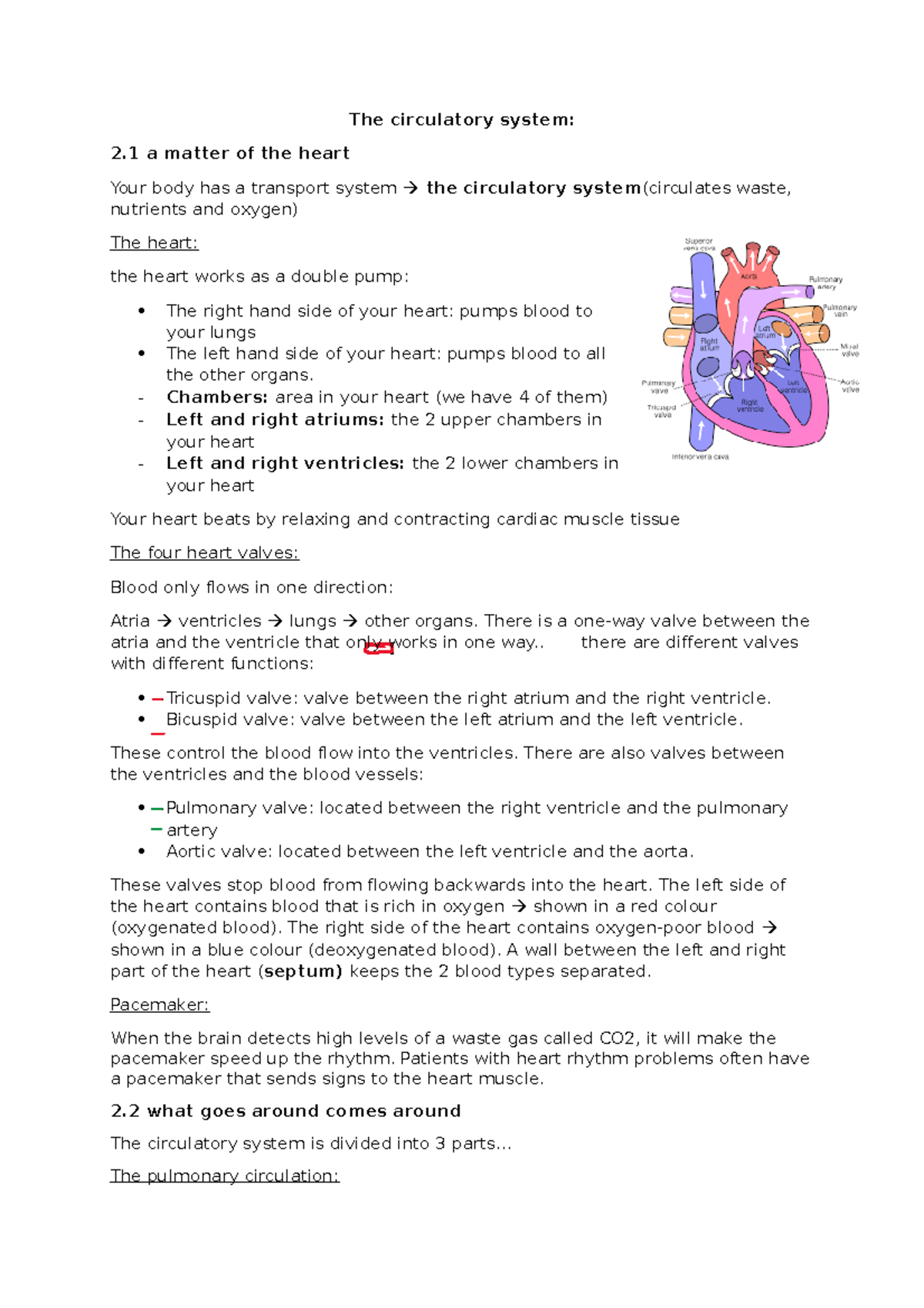 Biology 2VWO TTO summary chapter 2 - The circulatory system: 2 a matter ...
