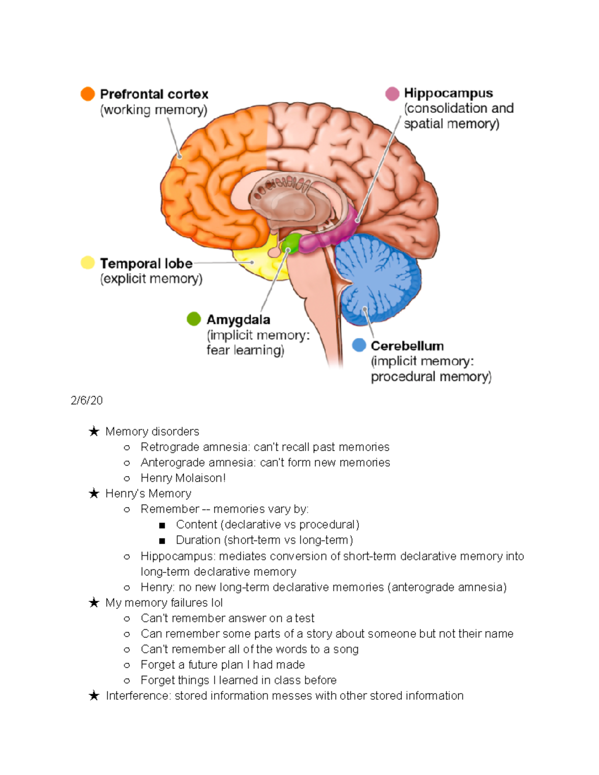 Introduction to Psychology: Lecture Notes Part 4 - 2/6/ ★ Memory ...