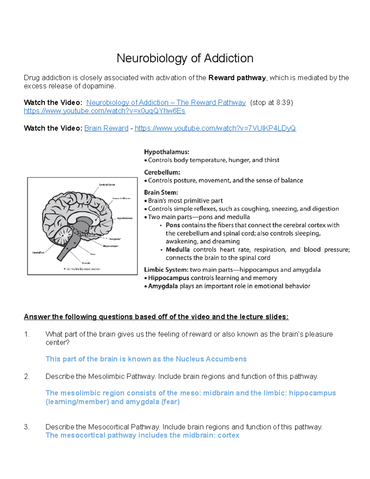 BIO HW6 - Prof. Nordiquist - Neurobiology of Addiction Drug addiction ...