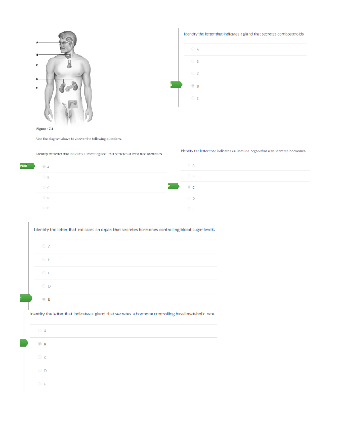 Anatomy Week 9 Activity Quiz - SCI 220 - Studocu