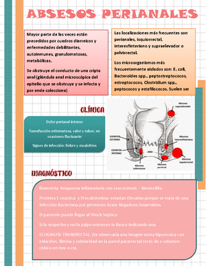 Apendicitis Aguda-2 - Generalidades y clasificacion de la apendice ...