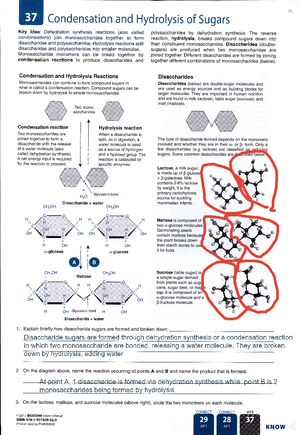 Organic molecules worksheet - Studocu