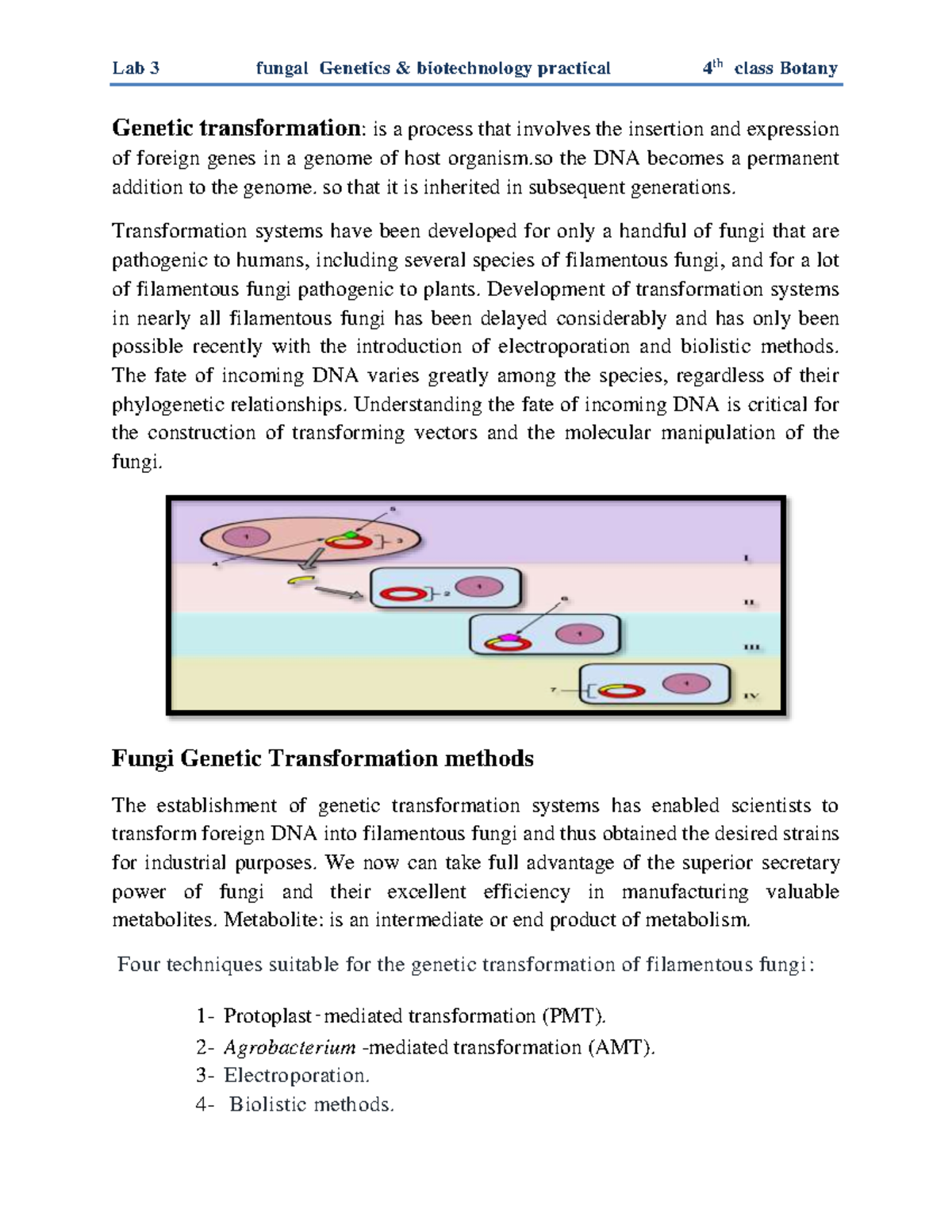 Fungal Genetics - biotechnology practical lab 3 - Genetic ...
