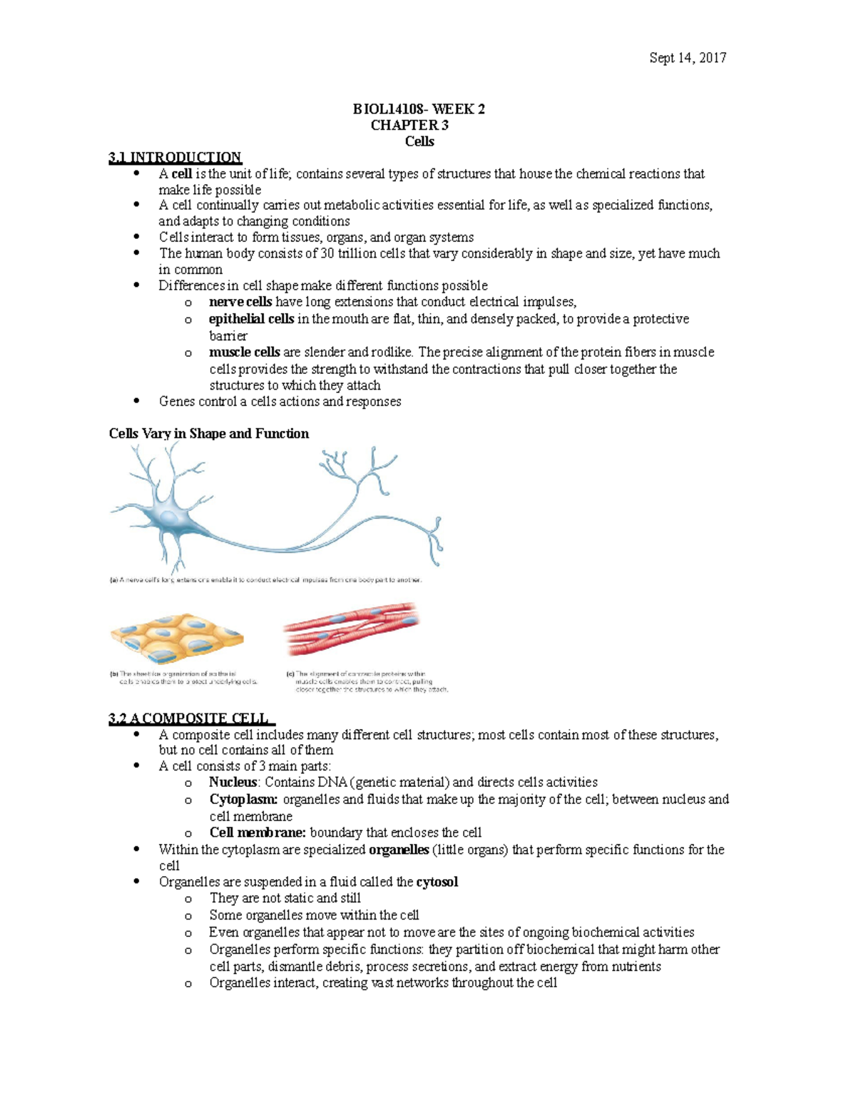 BIOL14108- WEEK 2 - Lecture notes 2 - BIOL14108- WEEK 2 CHAPTER 3 Cells ...