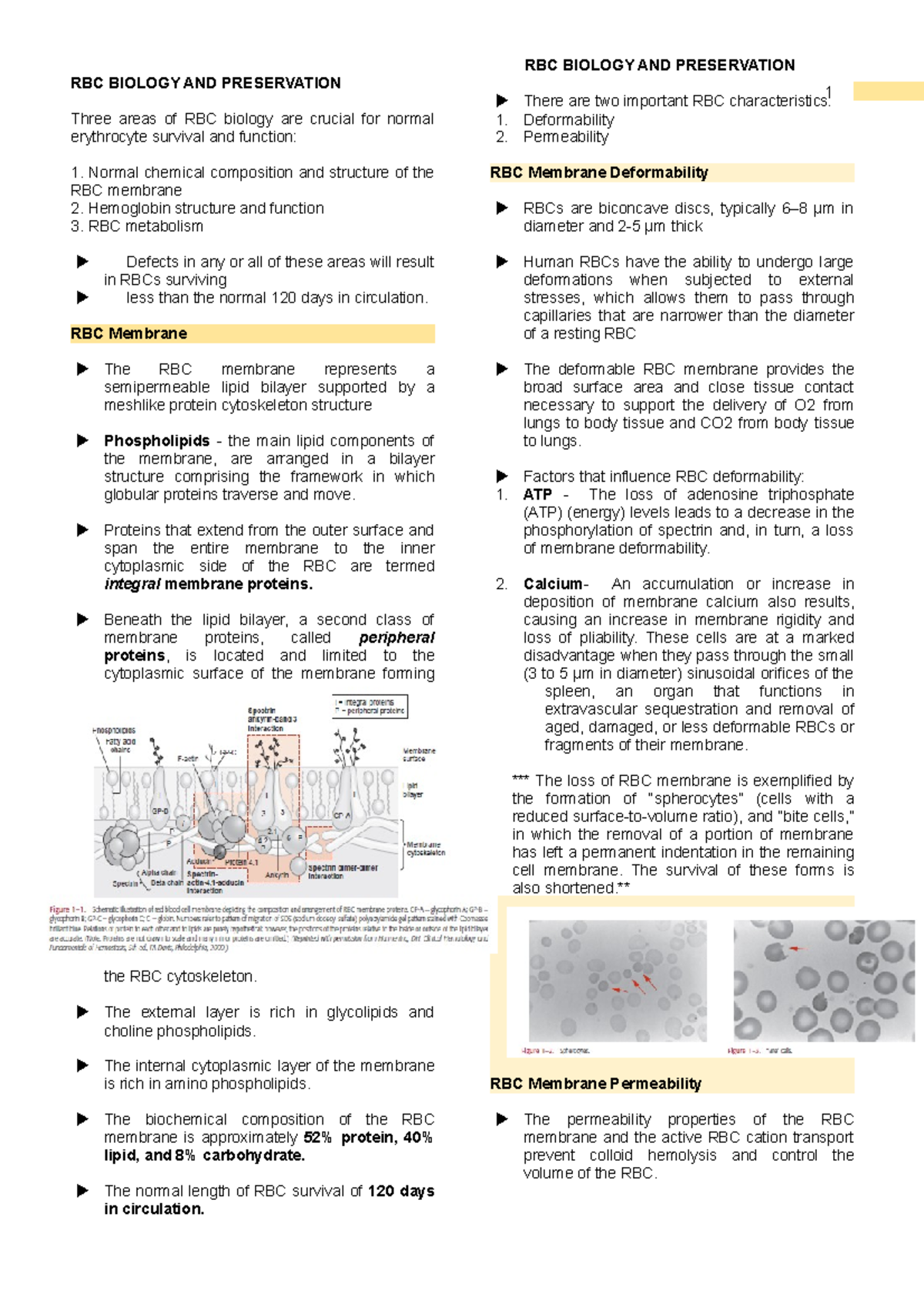 RBC Biology AND Preservation - RBC BIOLOGY AND PRESERVATION Three areas ...