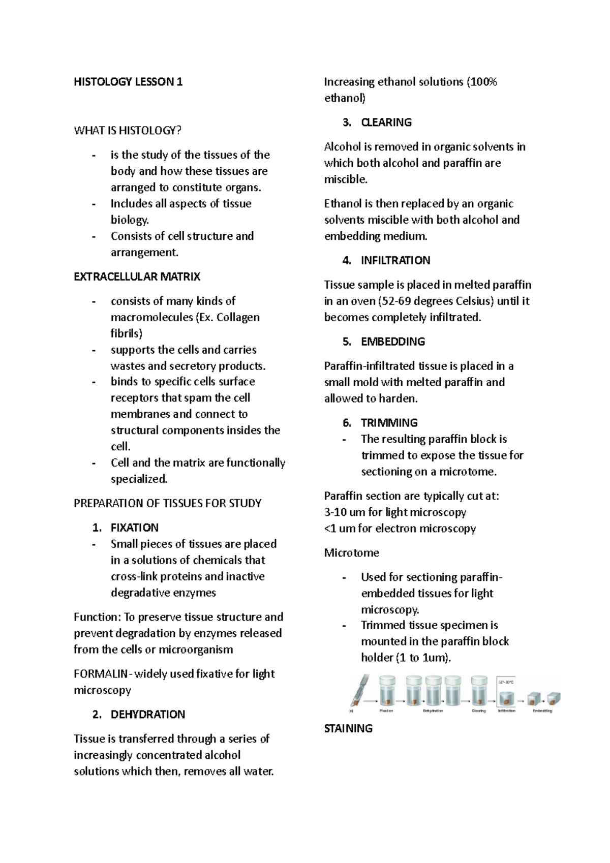 Histology Lesson 1 - HISTOLOGY LESSON 1 WHAT IS HISTOLOGY? is the study ...