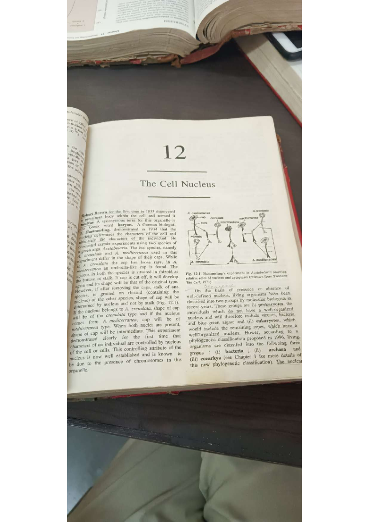 Cell bio unit 3 part 1 - Cell bio - BSc. life sciences - Studocu