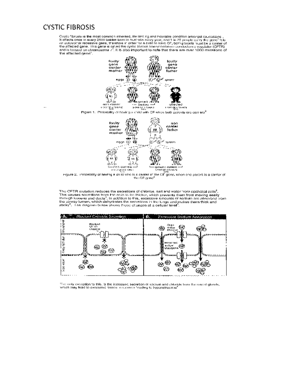 Tutorial work - cystic fibrosis - CYSTIC FIBROSIS Cystic fibrosis is ...