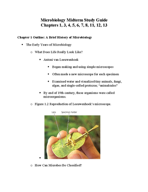 Signature Assignment Microbial Journal Article Review-2 - 1 Signature Assignment: Microbial ...