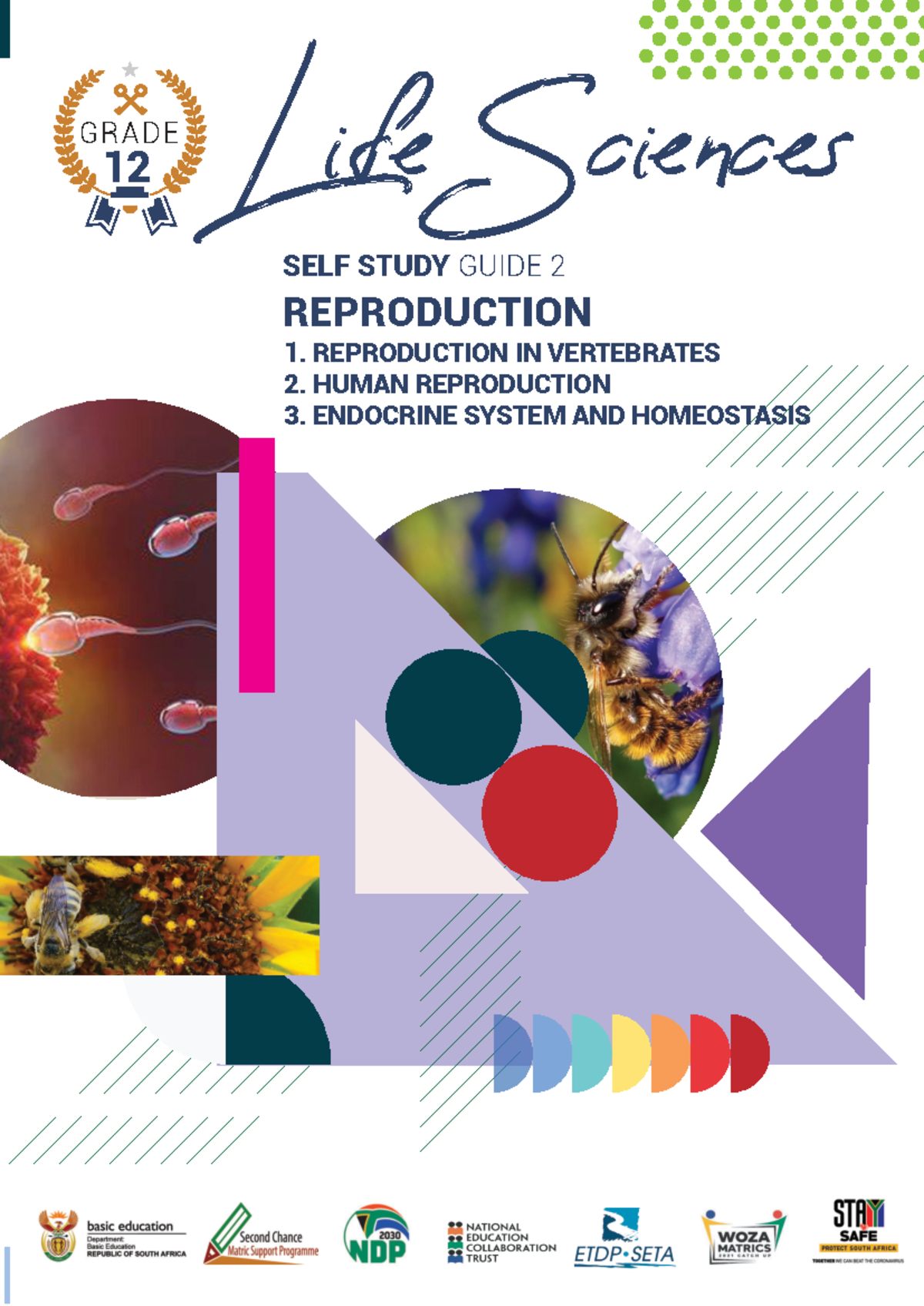Life Sciences- Reproduction and Endocrine System and Homeostasis ...