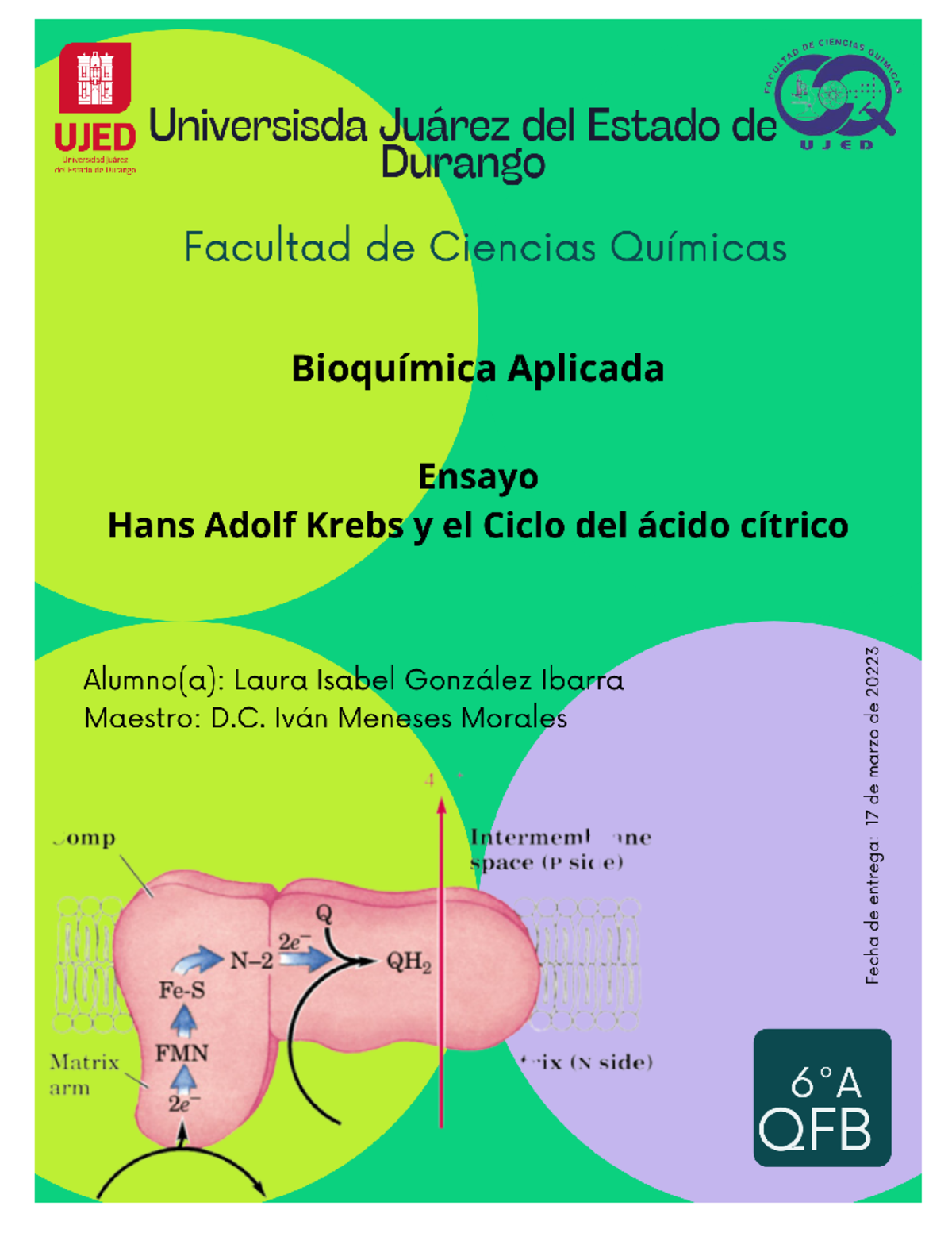 Ensayo Ciclo de Krebs - Apuntes - Hans Adolf Krebs y el Ciclo del ácido ...