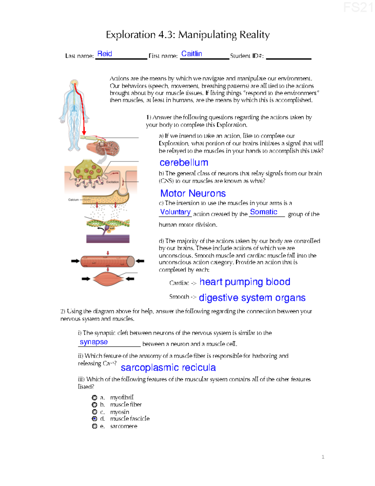 Exploration 4.3) Manipulating Reailty - FS21 Exploration 4 ...
