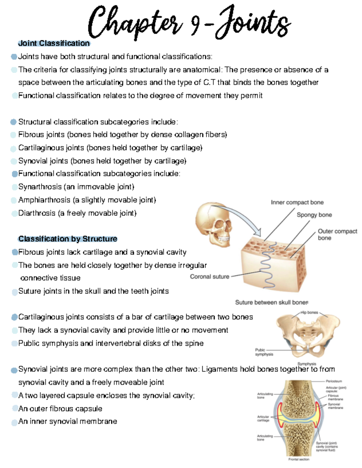 Chapter 9- Joints - Chapter 9-Joints Joint Classification Joints have ...
