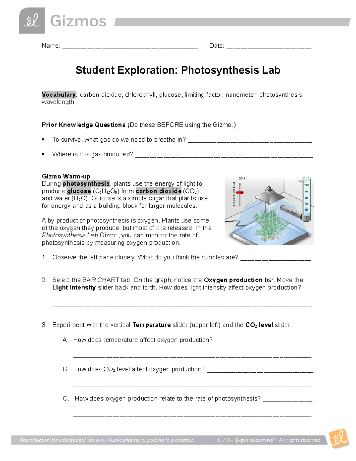 Photosynthesis Lab SE 1 - Name ...