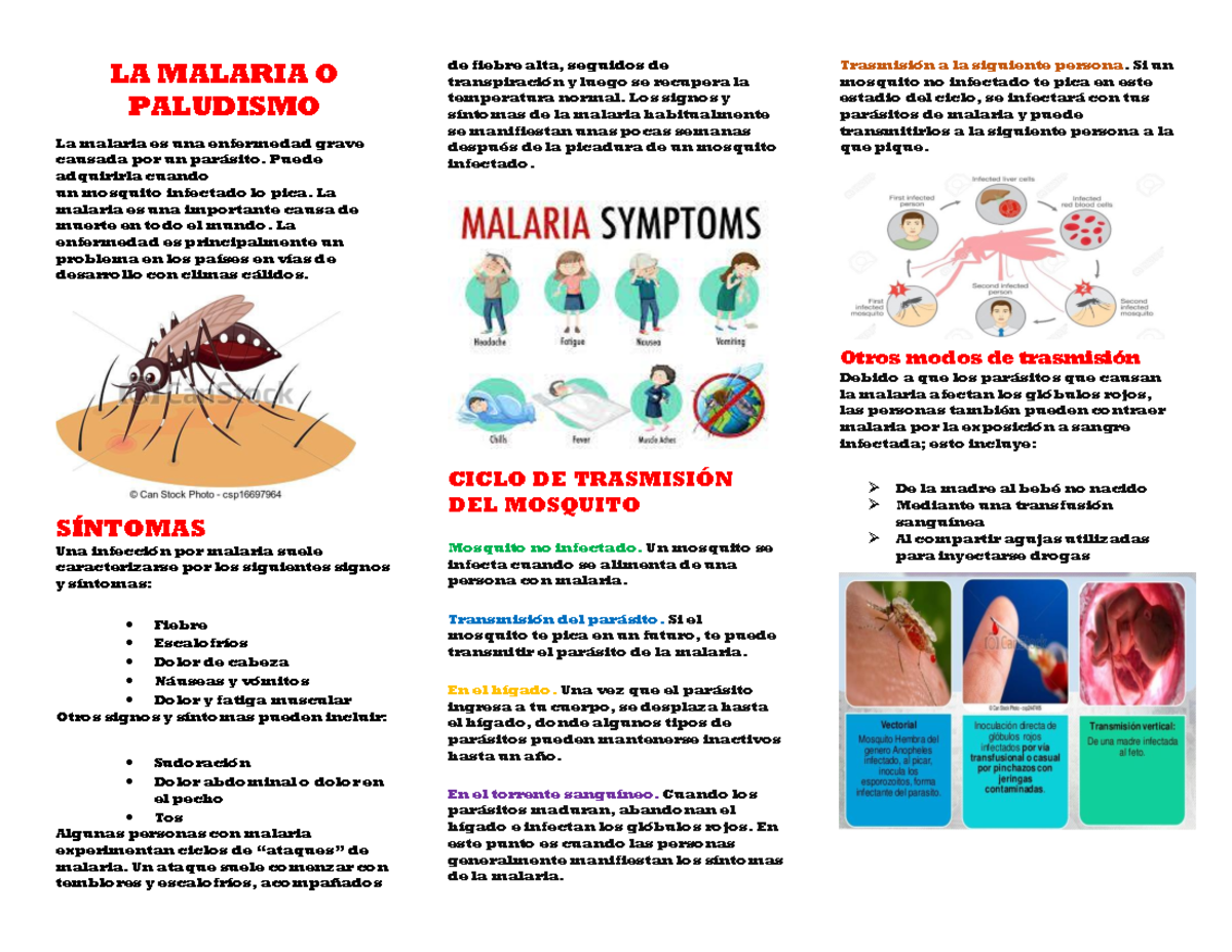 Triptico DE LA Malaria - LA MALARIA O PALUDISMO La malaria es una enfermedad grave causada por ...