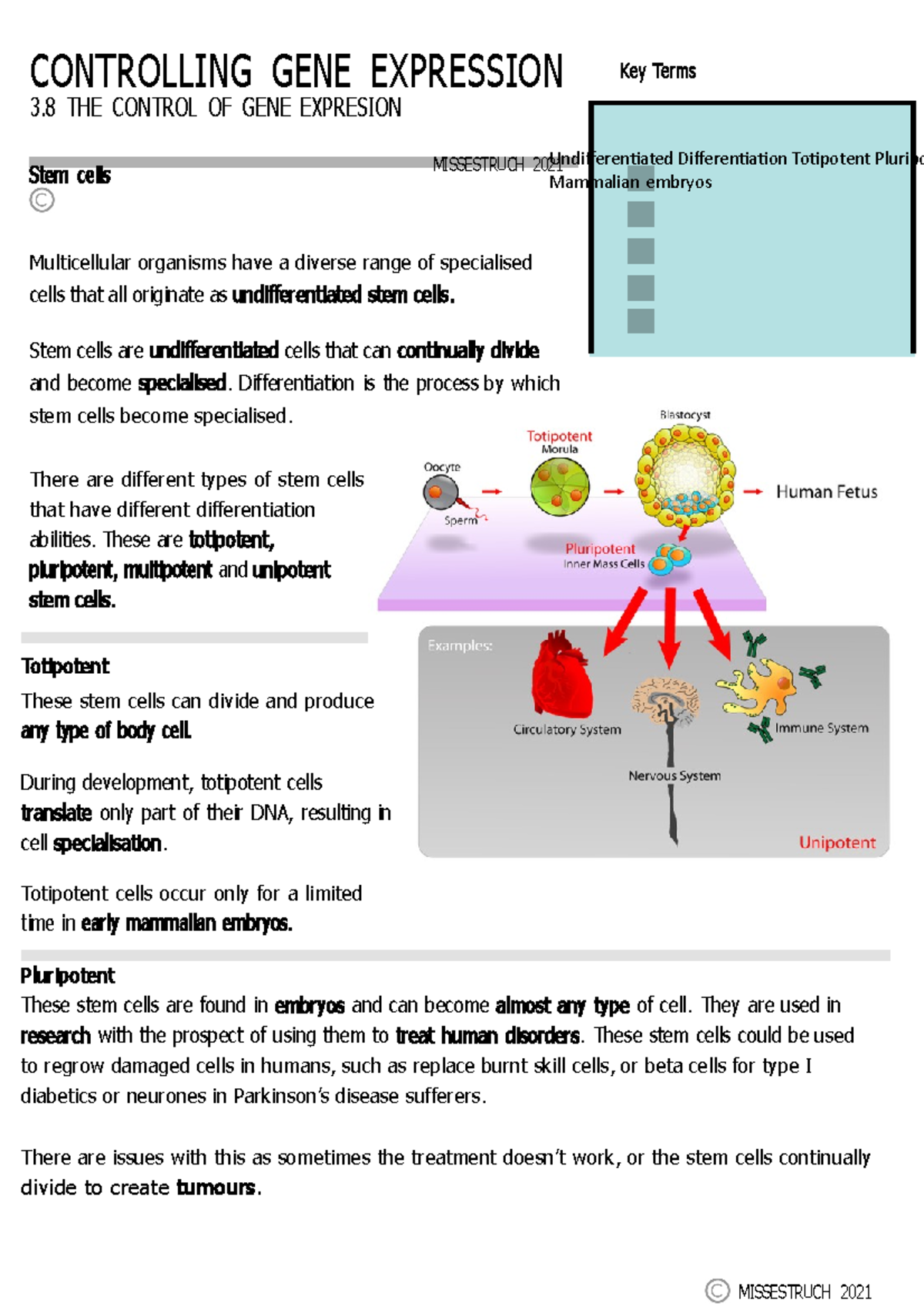 Controlling gene expression - CONTROLLING GENE EXPRESSION Key Terms ...