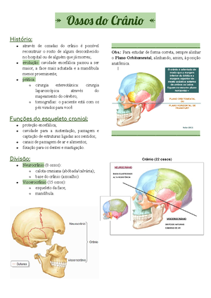 Questoes Anatomia - ATIVIDADE OSTEOLOGIA DO CR¬NIO 1- O crânio constitui o esqueleto da face e ...