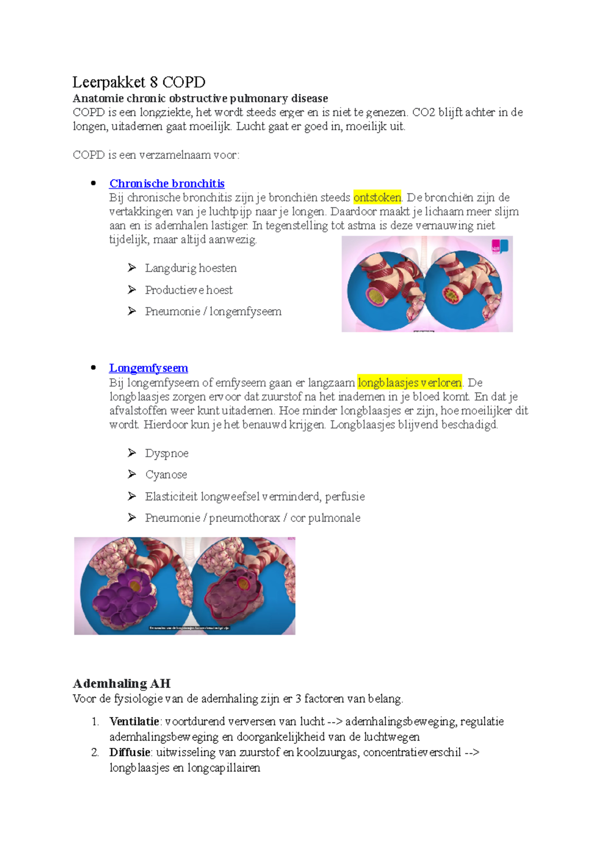 Leerpakket 8 AFP - Succes met leren! - Leerpakket 8 COPD Anatomie ...