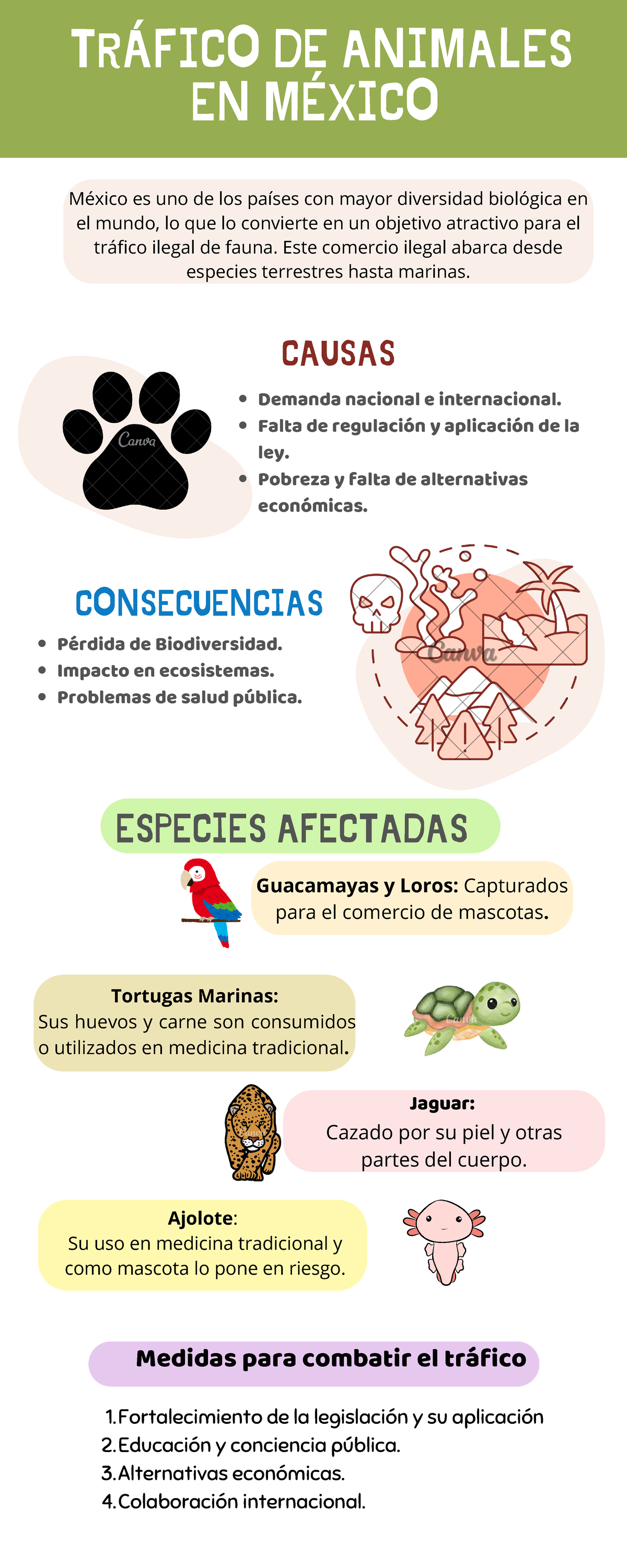 Tráfico de animales - Demanda nacional e internacional. Falta de ...