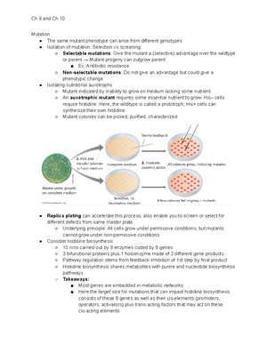 Microbiology Notes - Van Leuwenhoek- first person to see microbe ...
