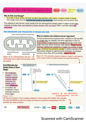 ECB4 Question Bank Ch04 - ESSENTIAL CELL BIOLOGY, FOURTH EDITION ...
