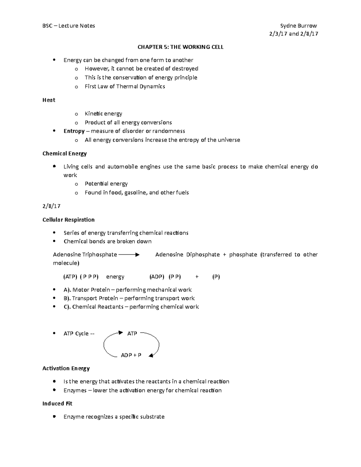 BSC - Chapter 5 - The working cell - BSC – Lecture Notes Sydne Burrow 2 ...