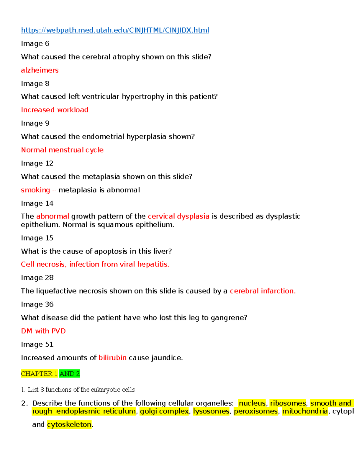 6671 exam 1 study guide - webpath.med.utah/CINJHTML/CINJIDX.html Image ...