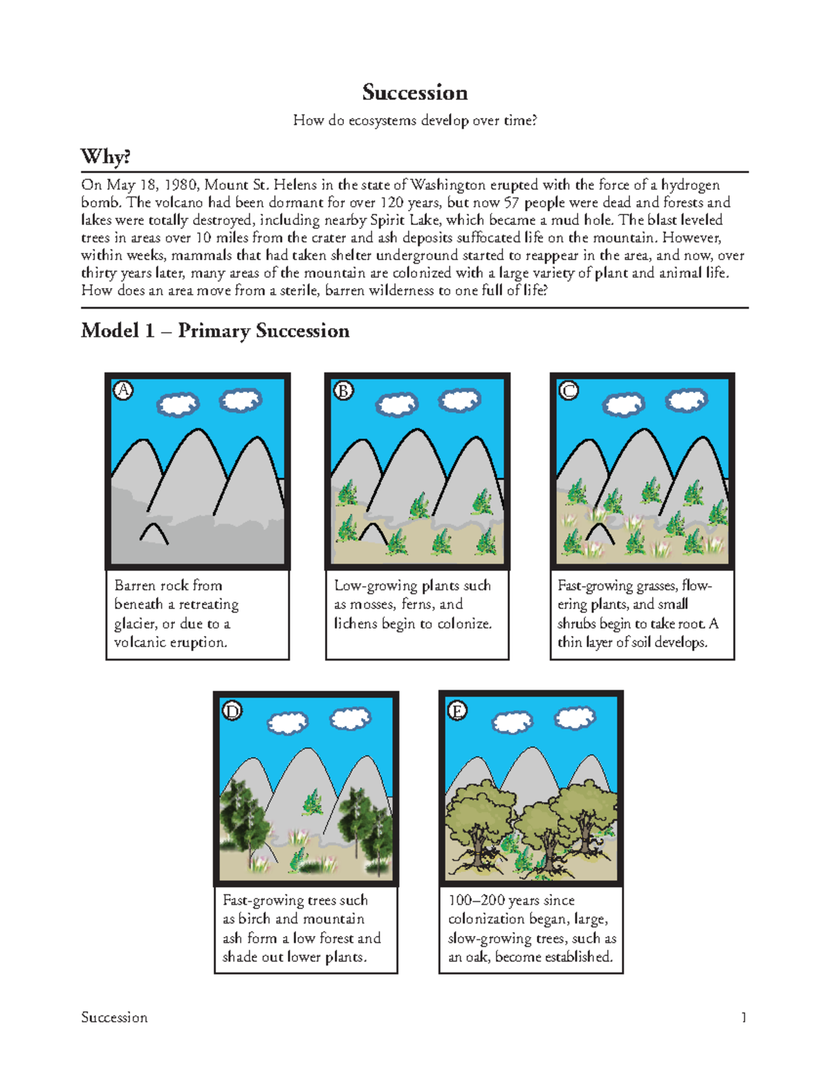 27 Succession-S - Succession 1 Succession How do ecosystems develop ...