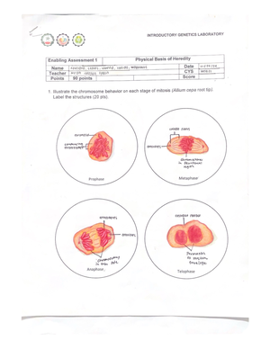 [327 M6 TRN] Nucleic Acid Structure and Function - [ Y2T2 | 372 ...