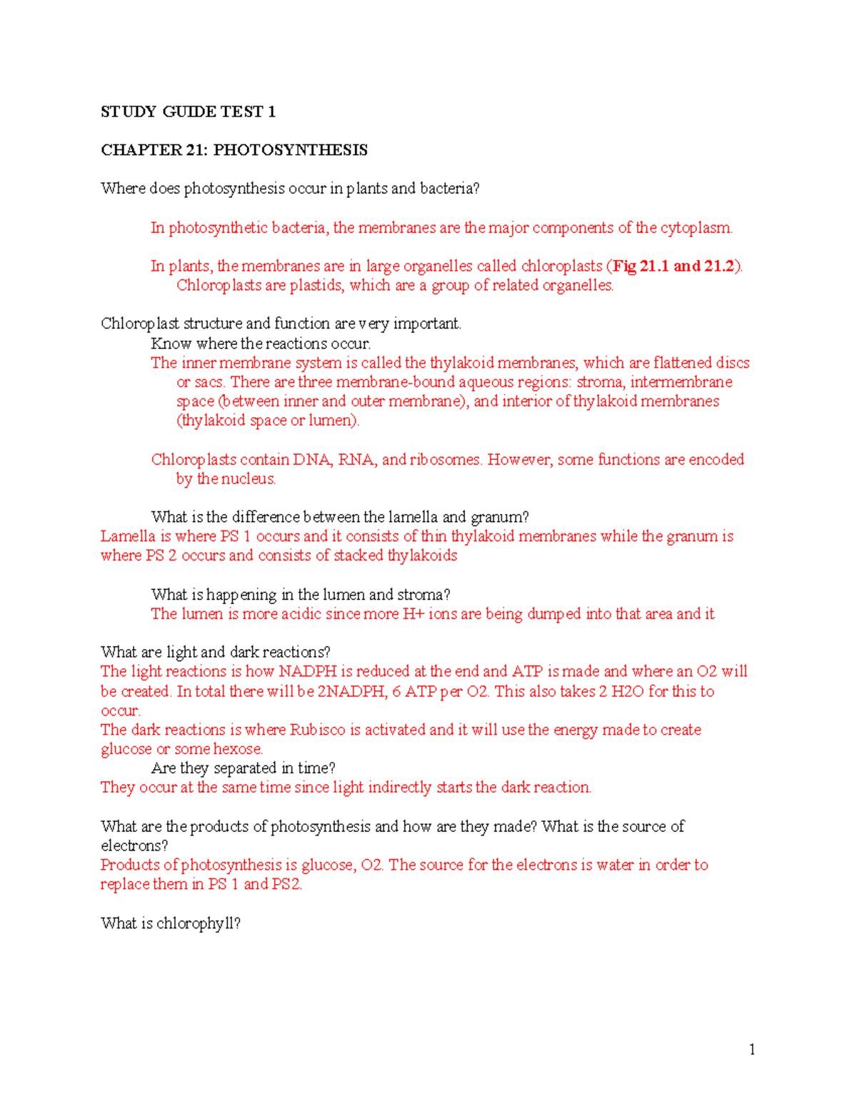 Review - New - STUDY GUIDE TEST 1 CHAPTER 21: PHOTOSYNTHESIS Where does ...