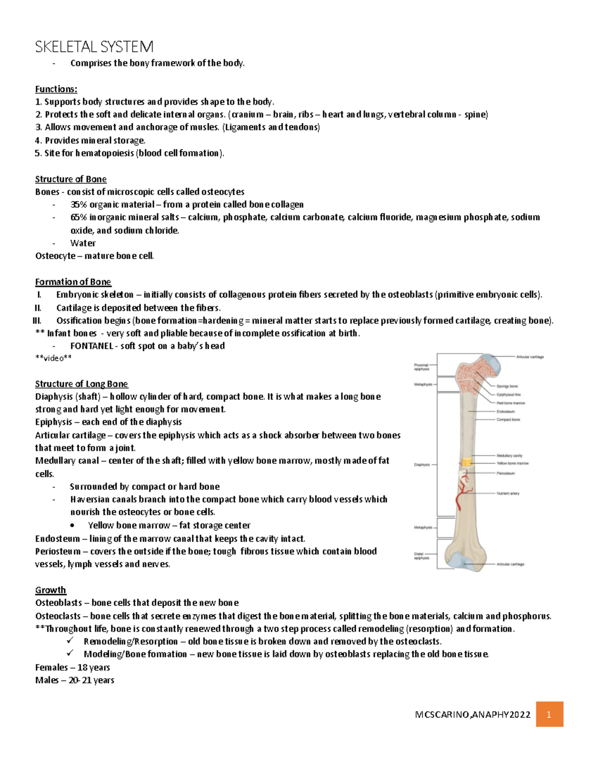 Skeletal System Reading Material - SKELETAL SYSTEM Comprises the bony ...
