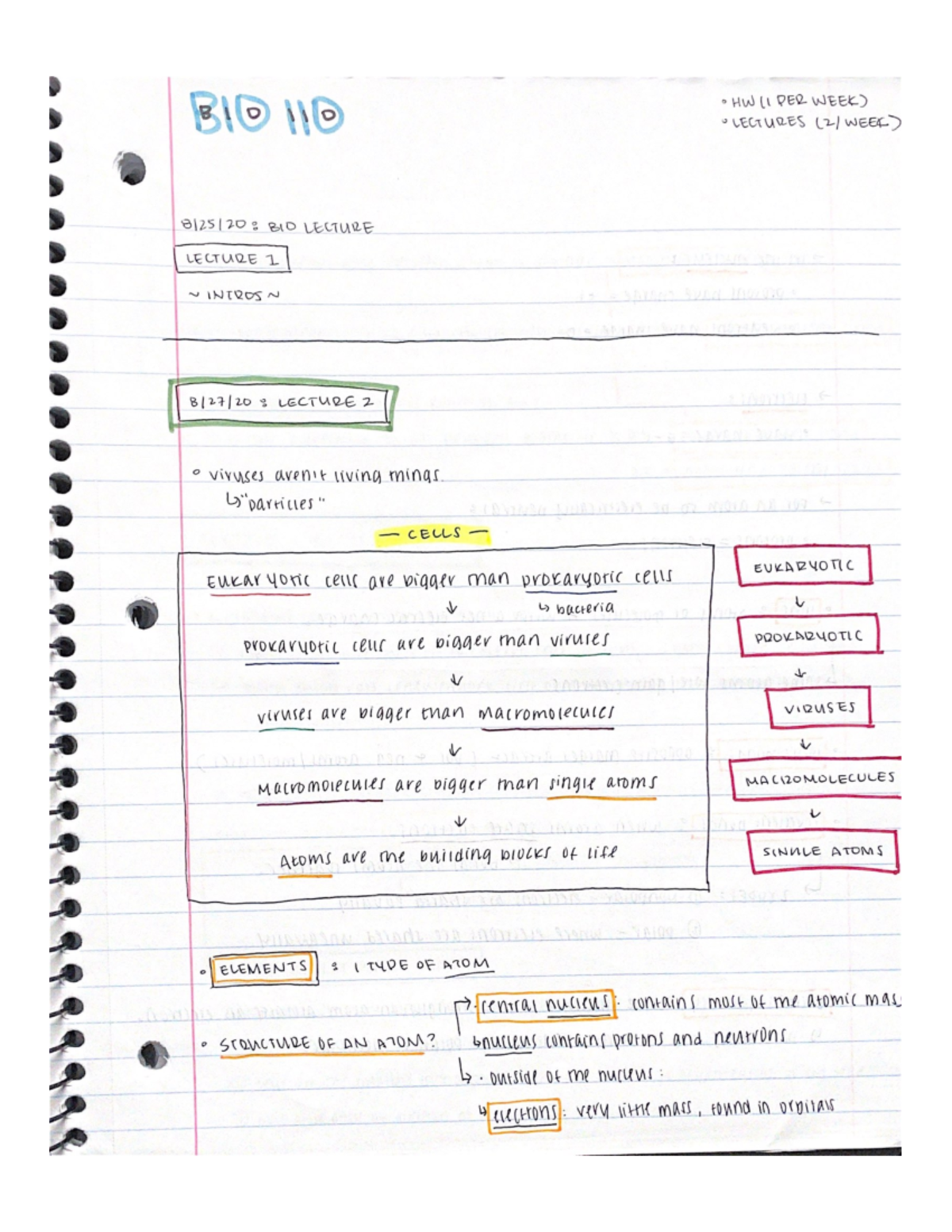 Bio 111 Lectures 2-3 Notes - BIO 111 - Studocu